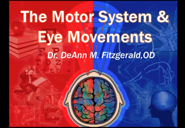 The Motor System & Eye Movements – Eye2Brain Academy